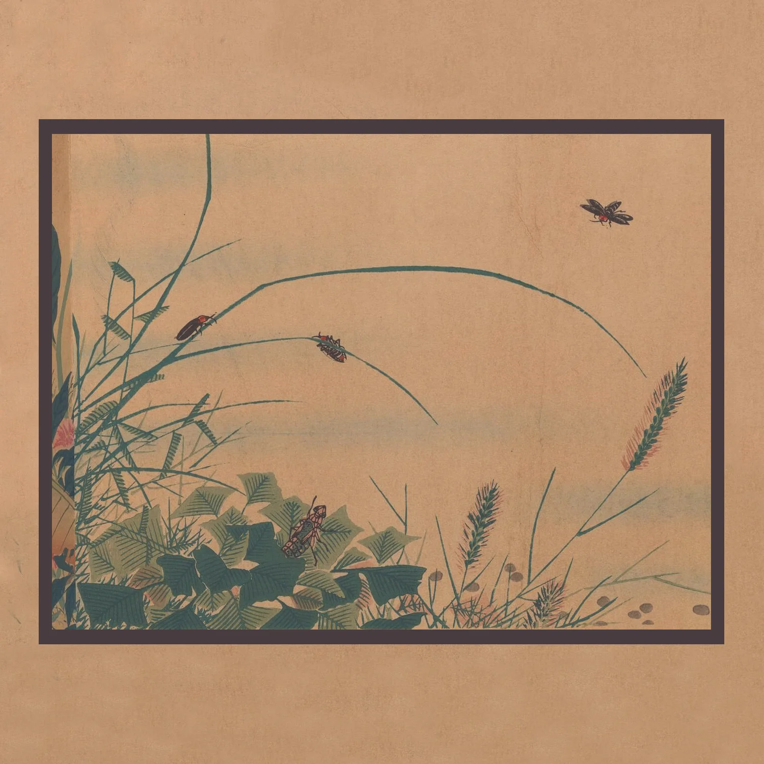 How to Build an Aeolian Harp — The Wind