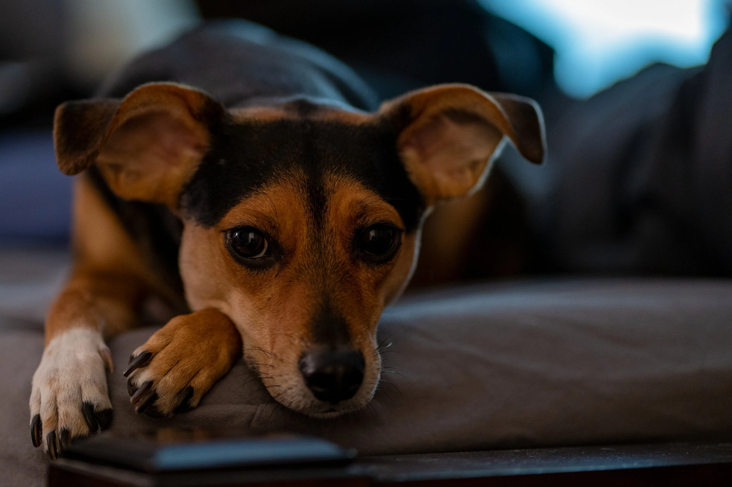 Bobby Regan Photography