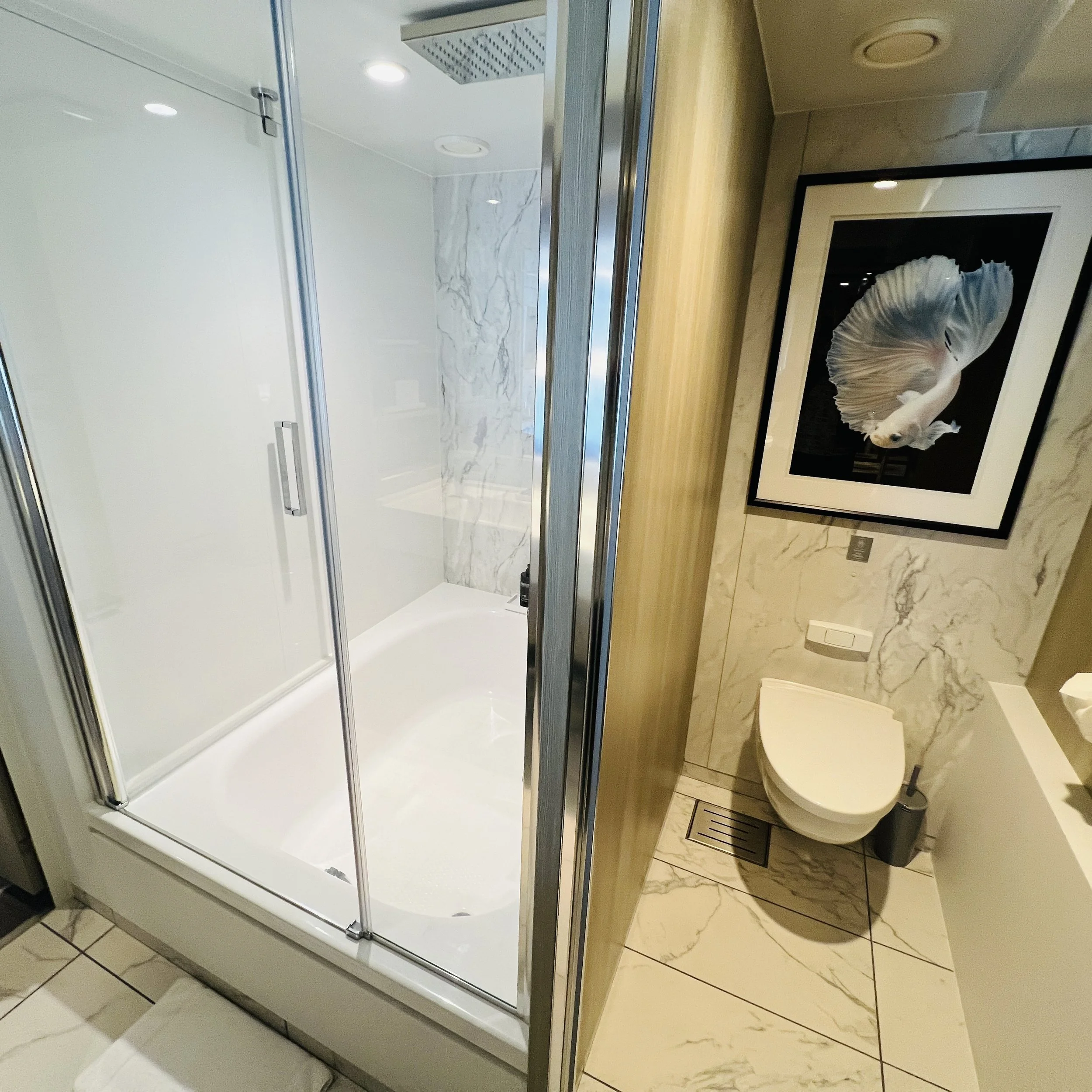 The Luxurious Celebrity Beyond Sky Suite: Our Review