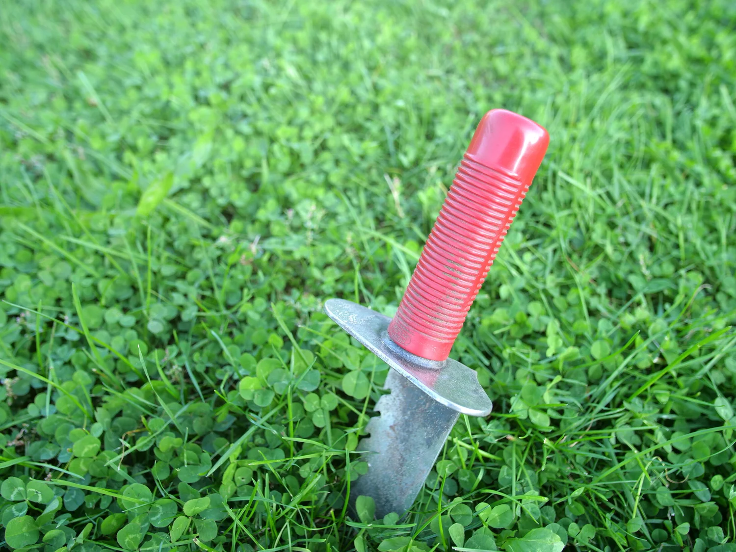 Cut The Perfect Plug When Digging — Metal Detecting Life