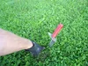 Cut The Perfect Plug When Digging — Metal Detecting Life