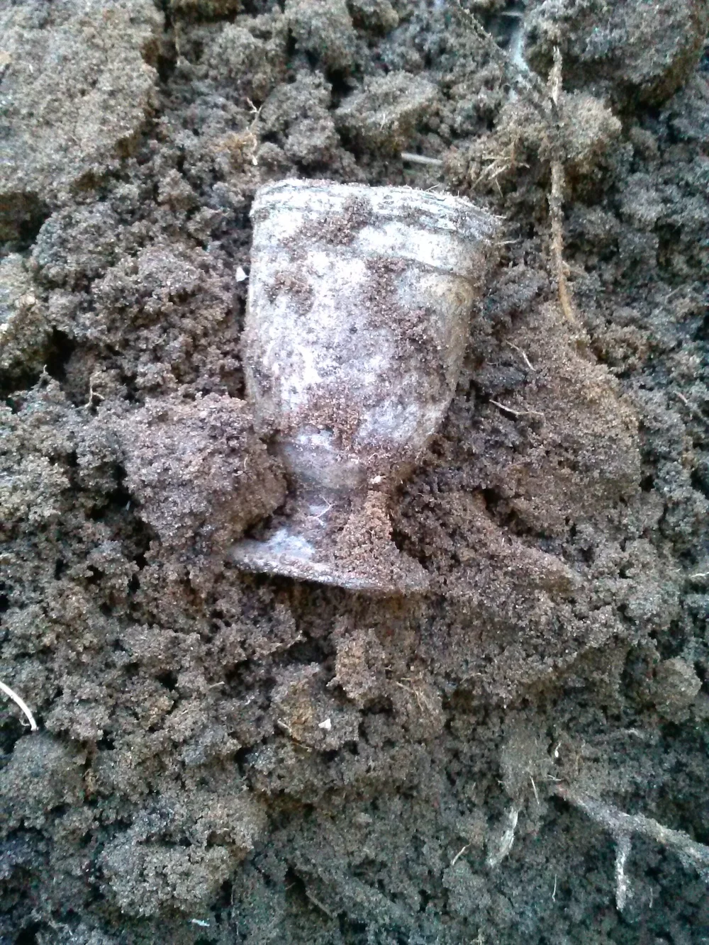 Things Found Metal Detecting — Metal Detecting Life