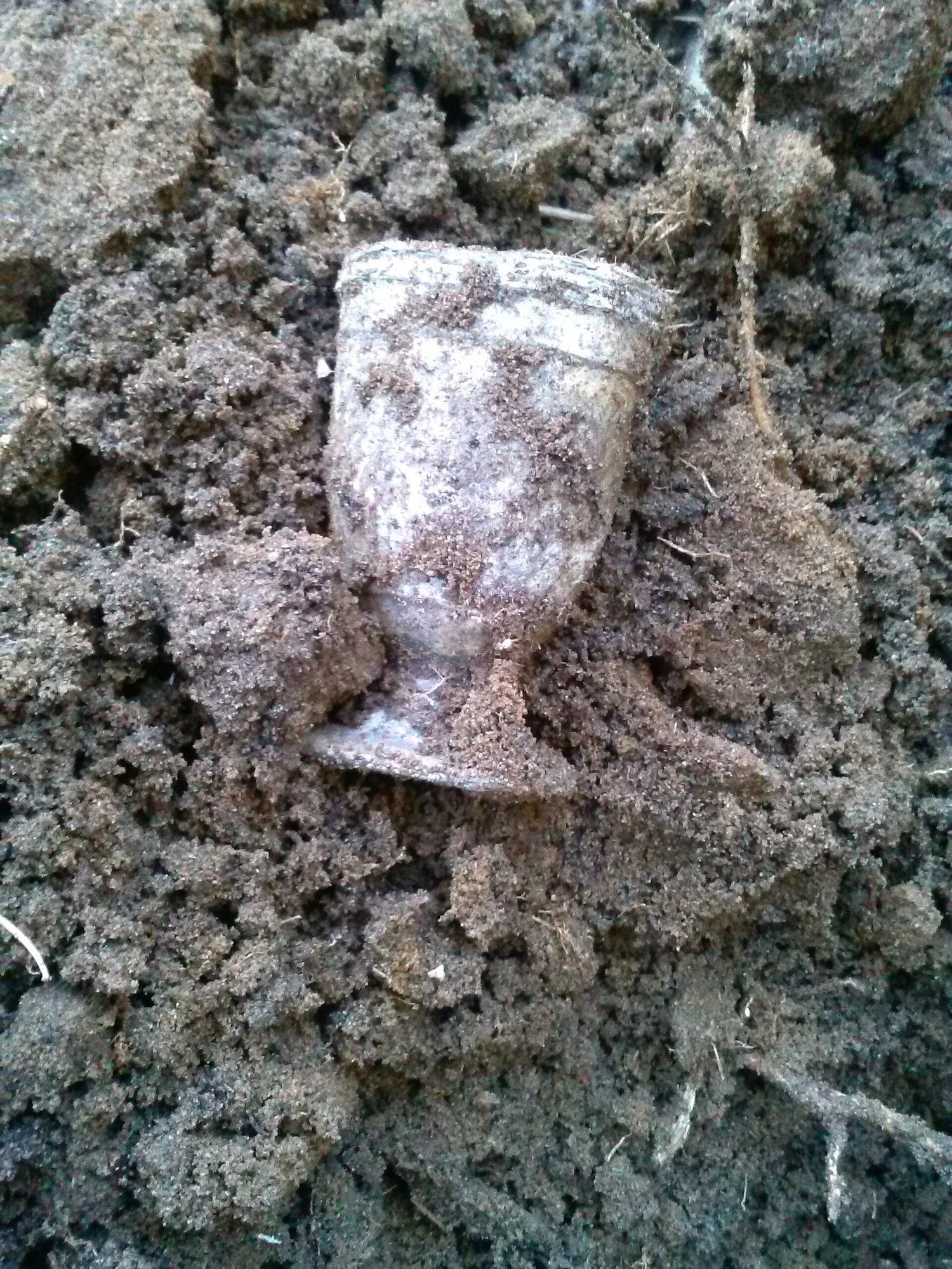 Things Found Metal Detecting — Metal Detecting Life