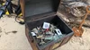 Best Beginner Metal Detectors: A 2025 Guide — Metal Detecting Life