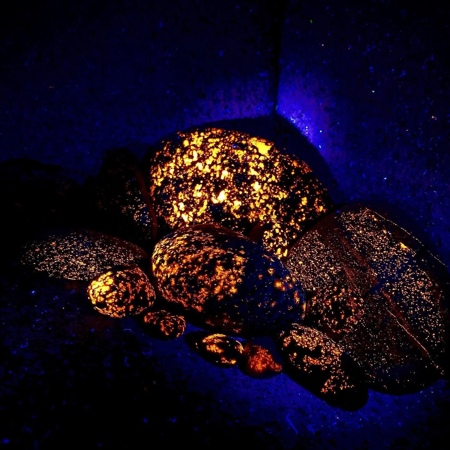 Yooperlites: How & Where To Find Them — Metal Detecting Life