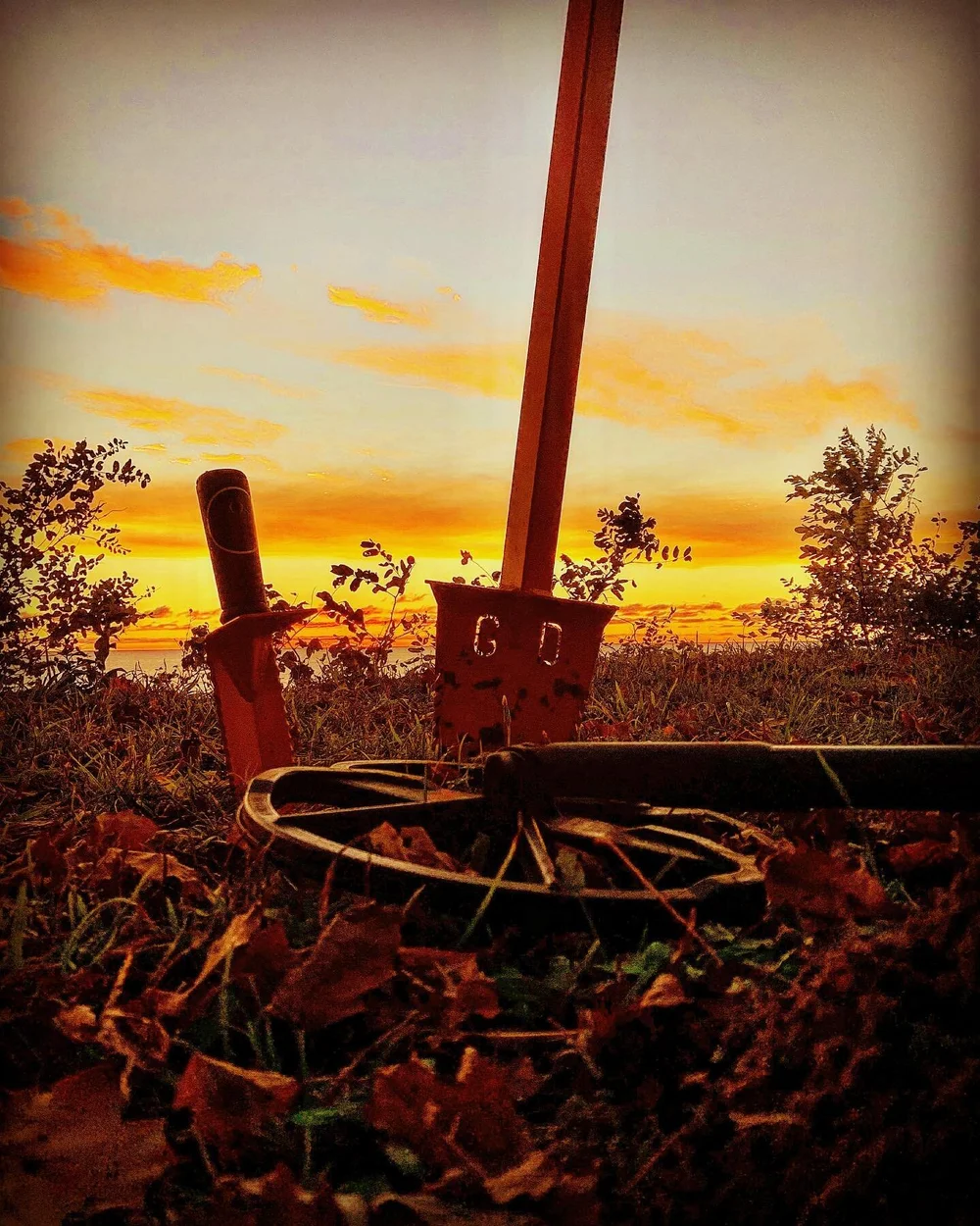 Metal Detecting Videos & Channels — Metal Detecting Life