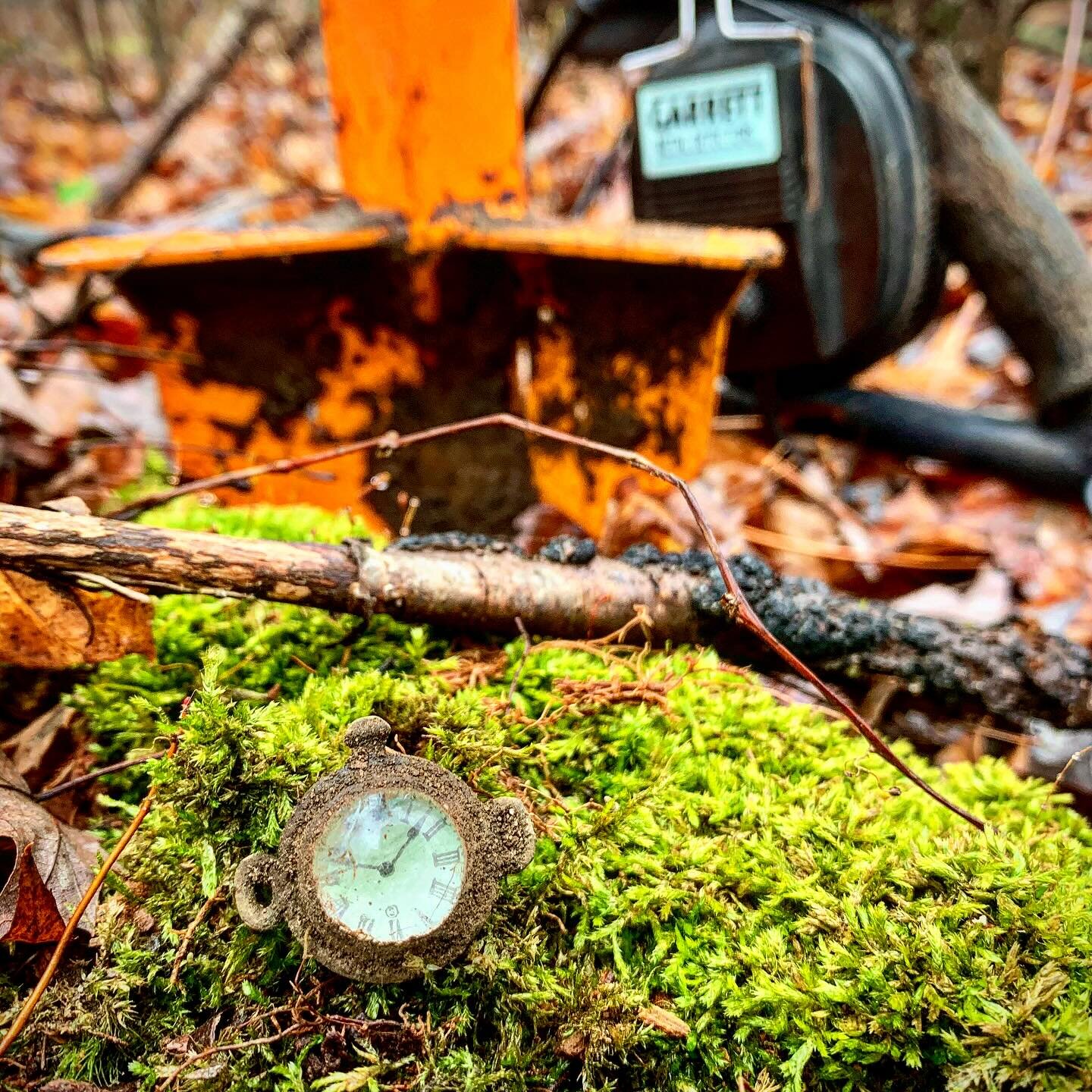 Metal Detecting Videos & Channels — Metal Detecting Life