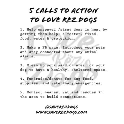 Skidskunx X Save Rez Dogs 3" Stickers — Save Rez Dogs