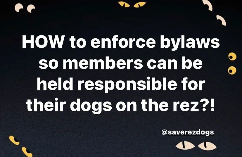 Save Rez Dogs