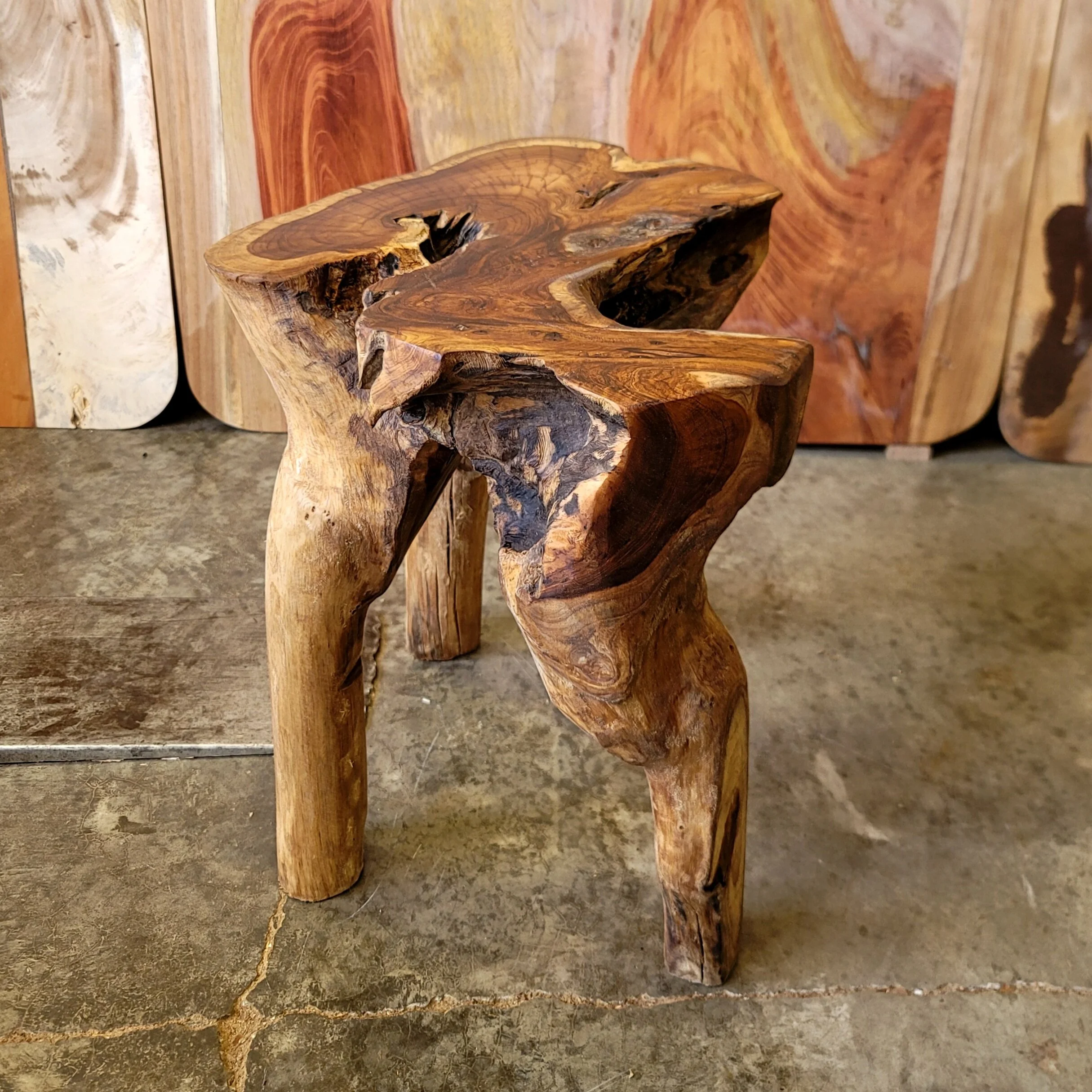 Pleistocene Stool — Tropical Salvage