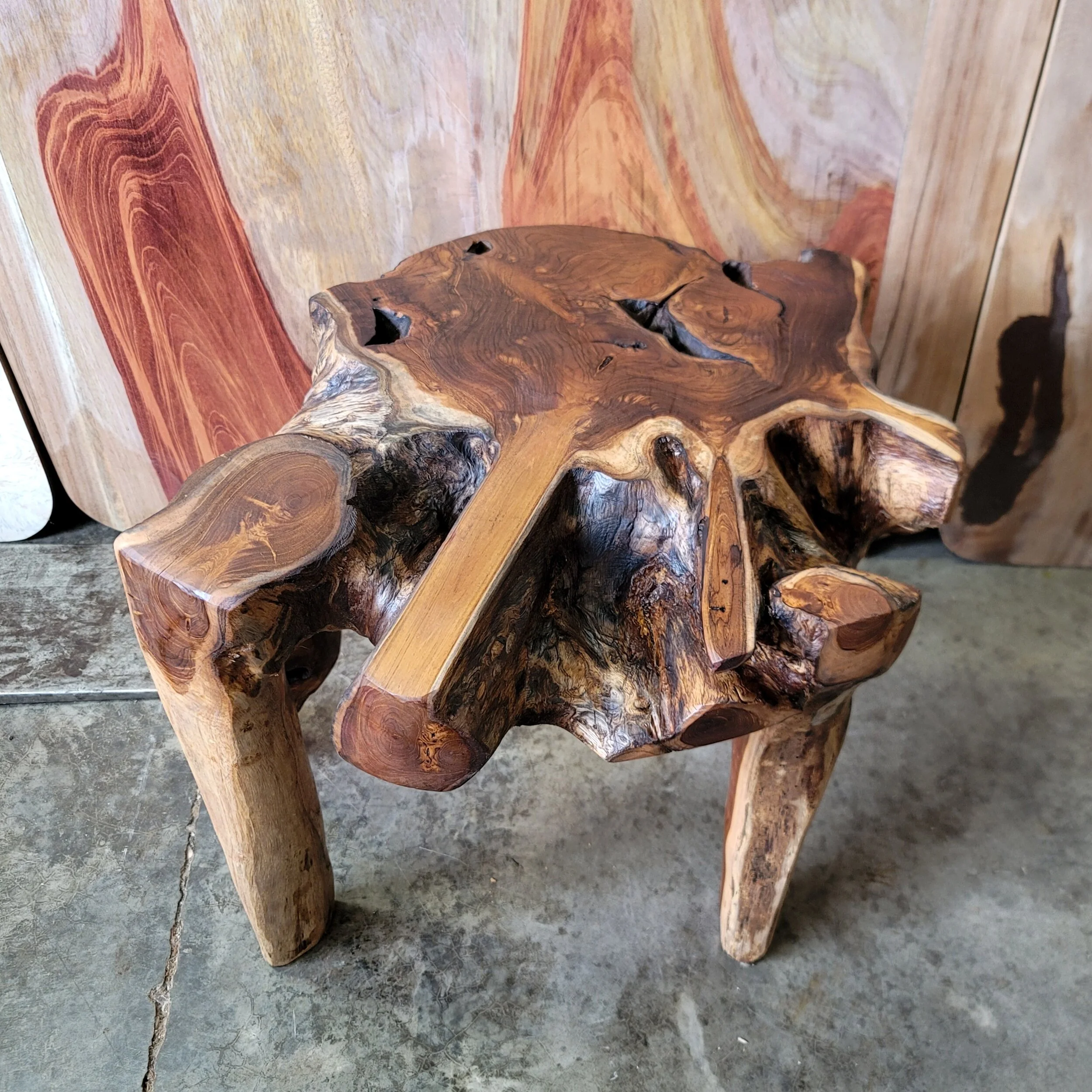 Pleistocene Stool — Tropical Salvage