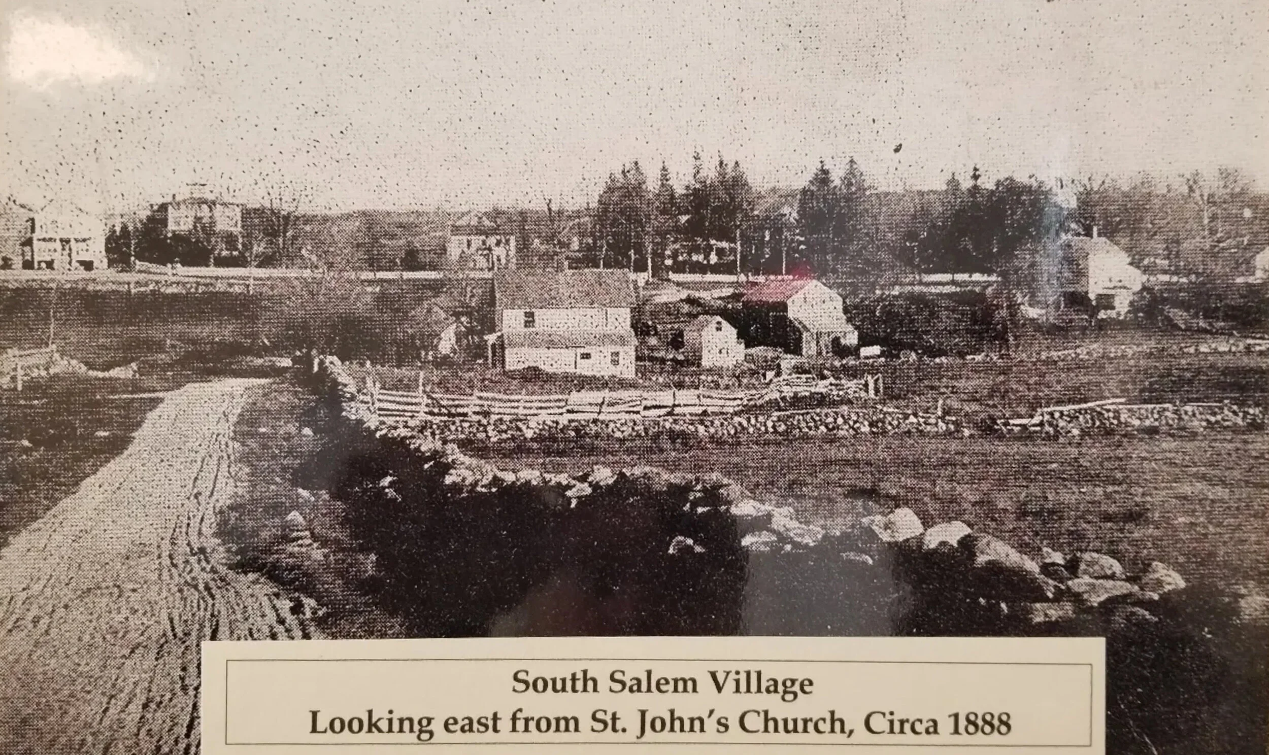 History — Spring Street Farm