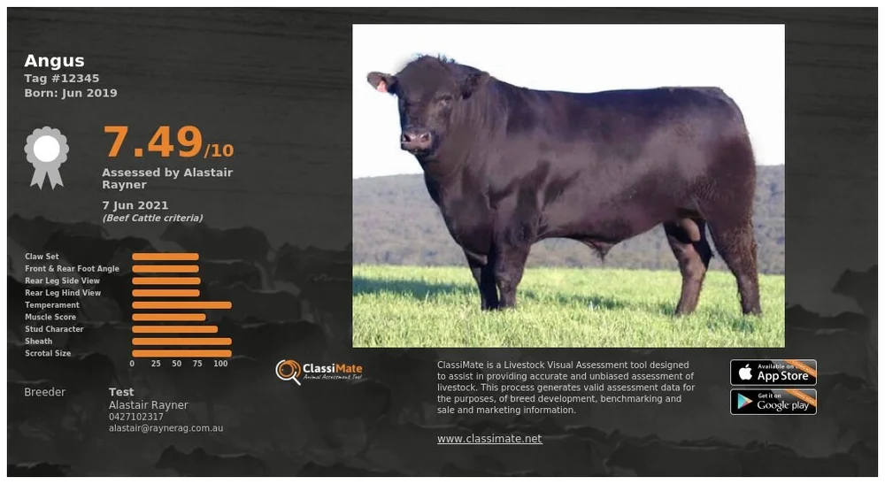 Lessons from the 2021 Bull Sales — RaynerAg