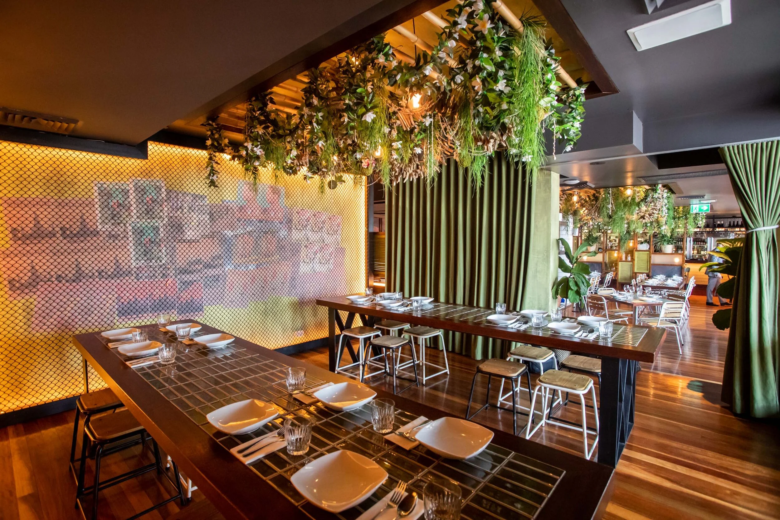 Sugarcane Gallery — Sugarcane