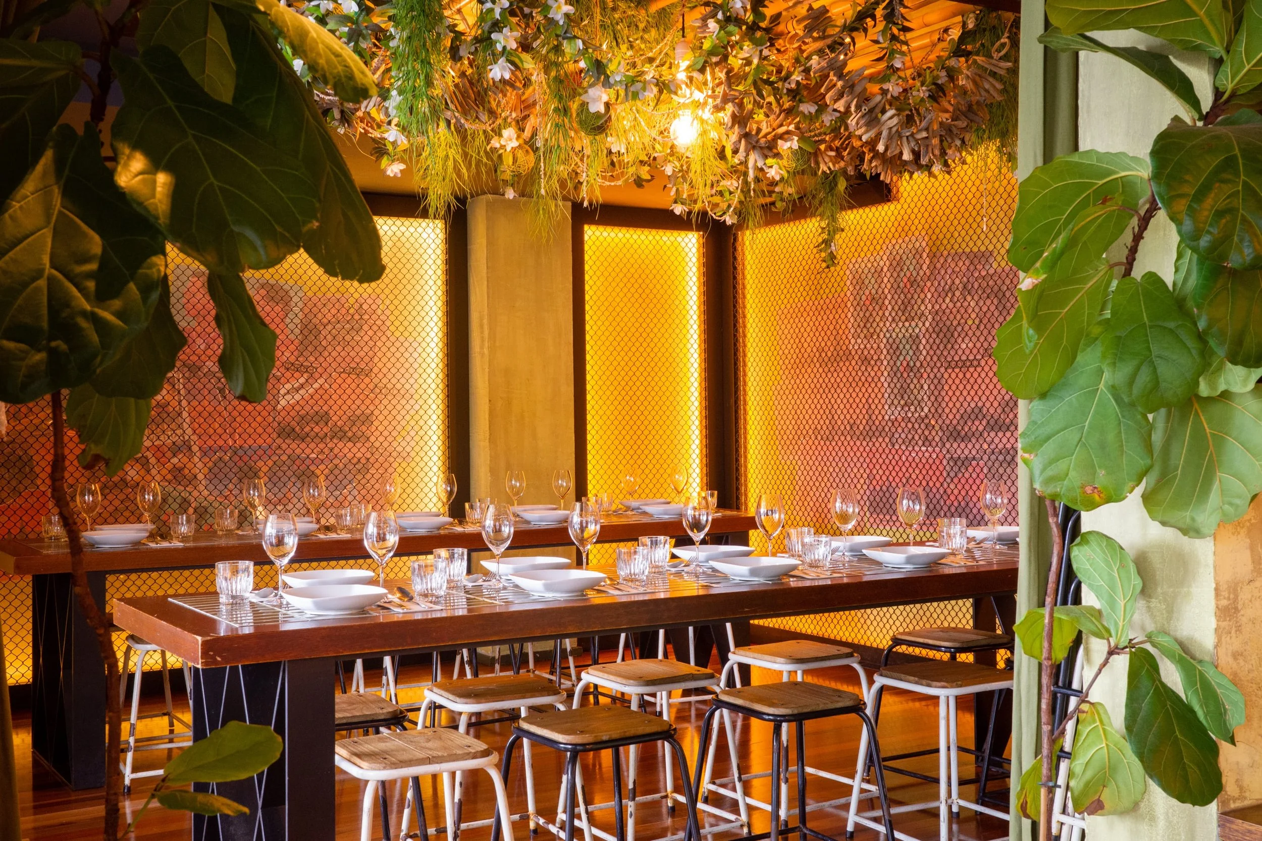 Sugarcane - Restaurant in Coogee | South East Asian Cuisine