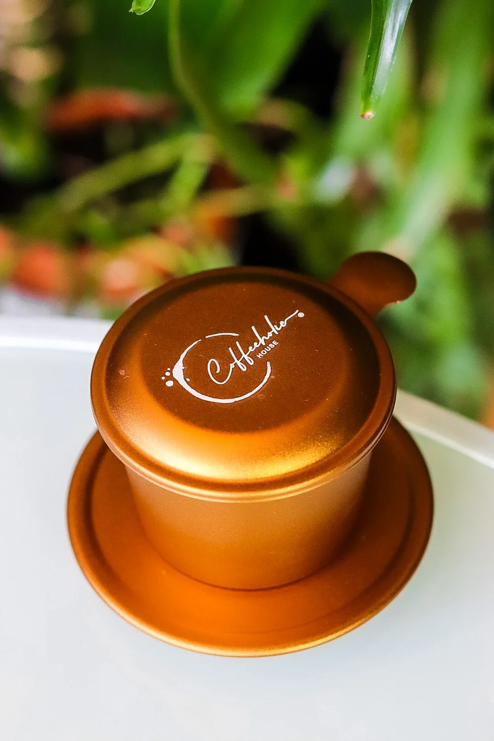The Coffee Shop — Coffeeholic House