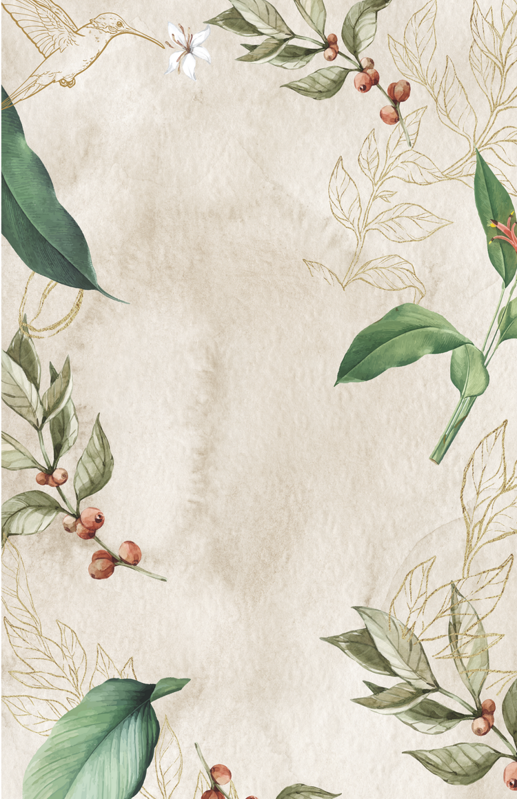 Our Story — Coffeeholic House