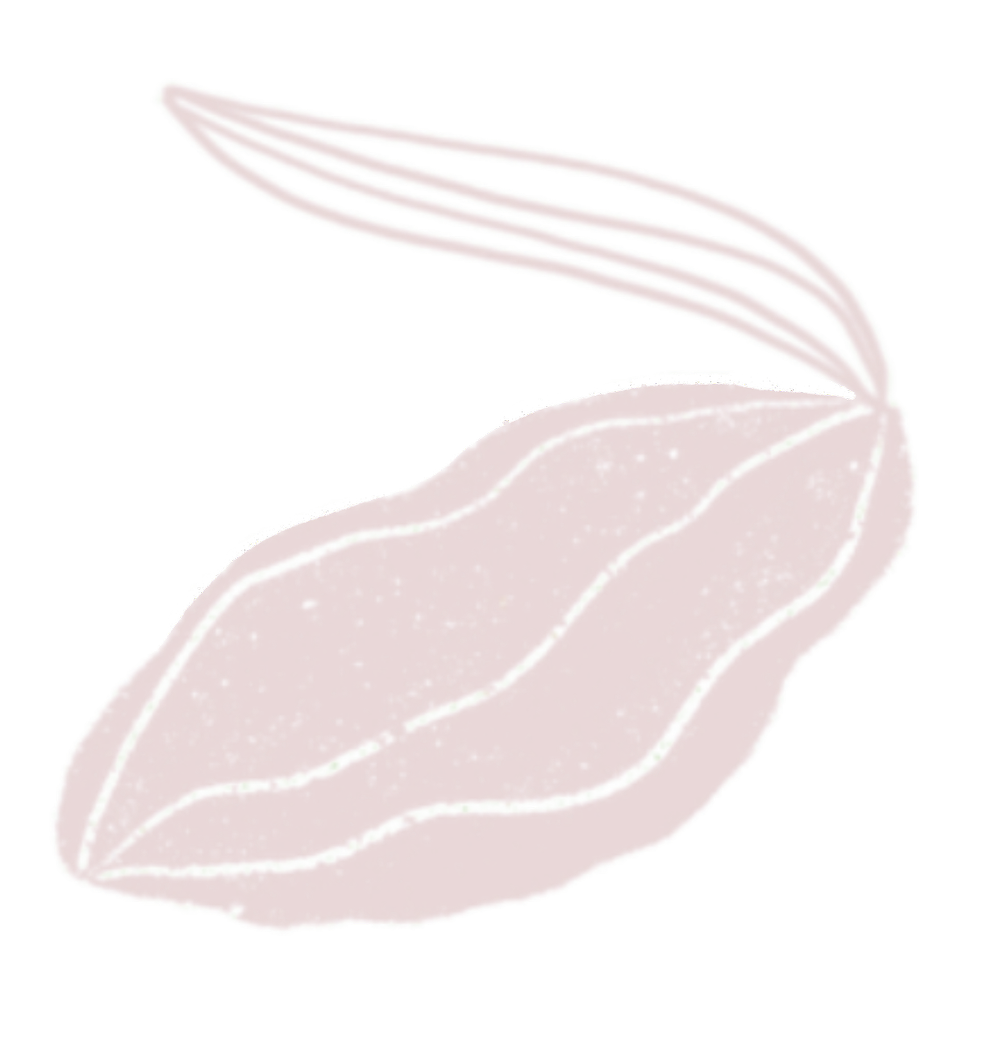 CEREMONIAL CACAO — the cacao circle