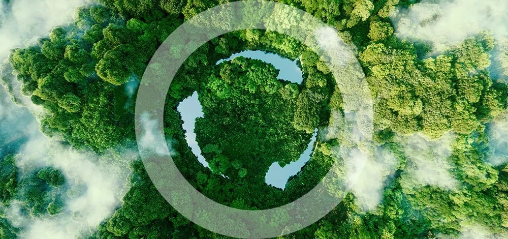 La Loi Industrie Verte : Un Catalyseur pour l'Épargne Écologique ...