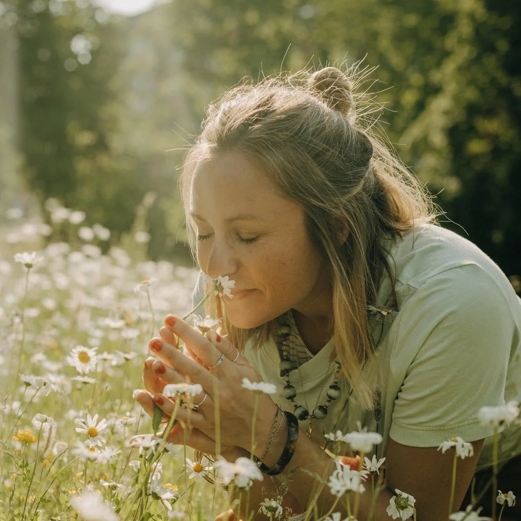 LUISE - Programm — LUISE