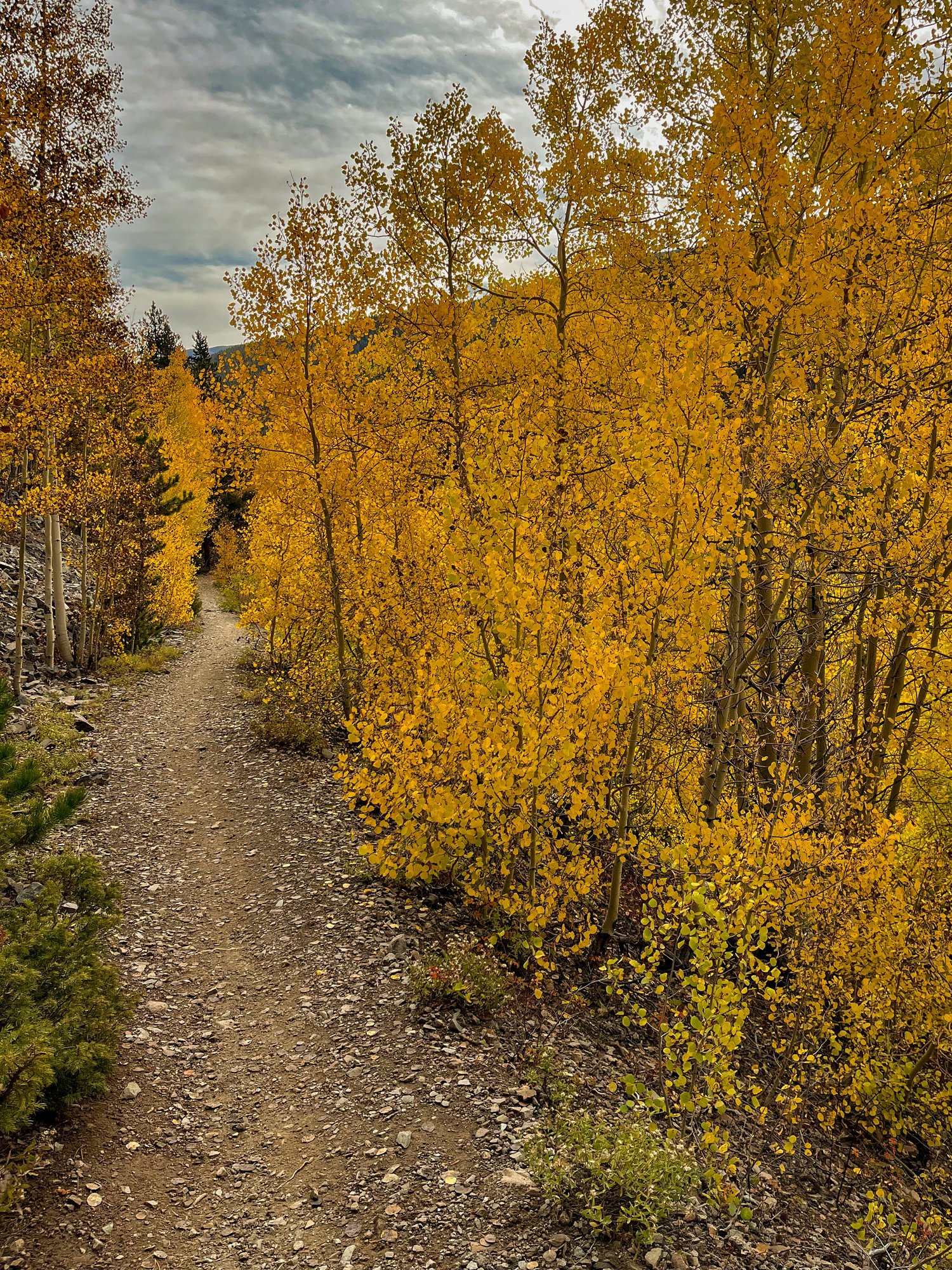 Minnie Mine Loop — The Rocky Mountain Mom