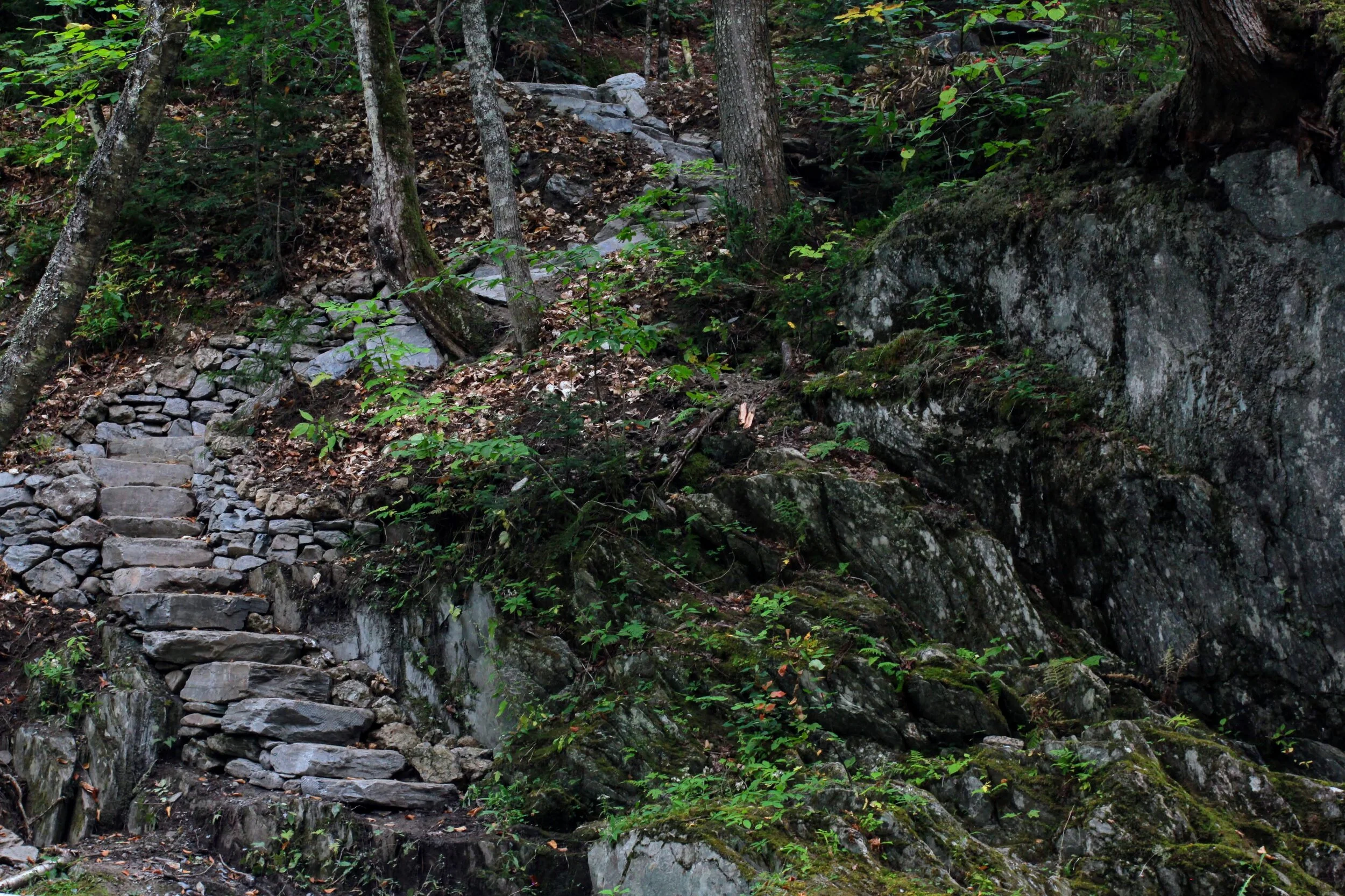 North Branch Cascades Trail — Hermit Woods Trail Builders