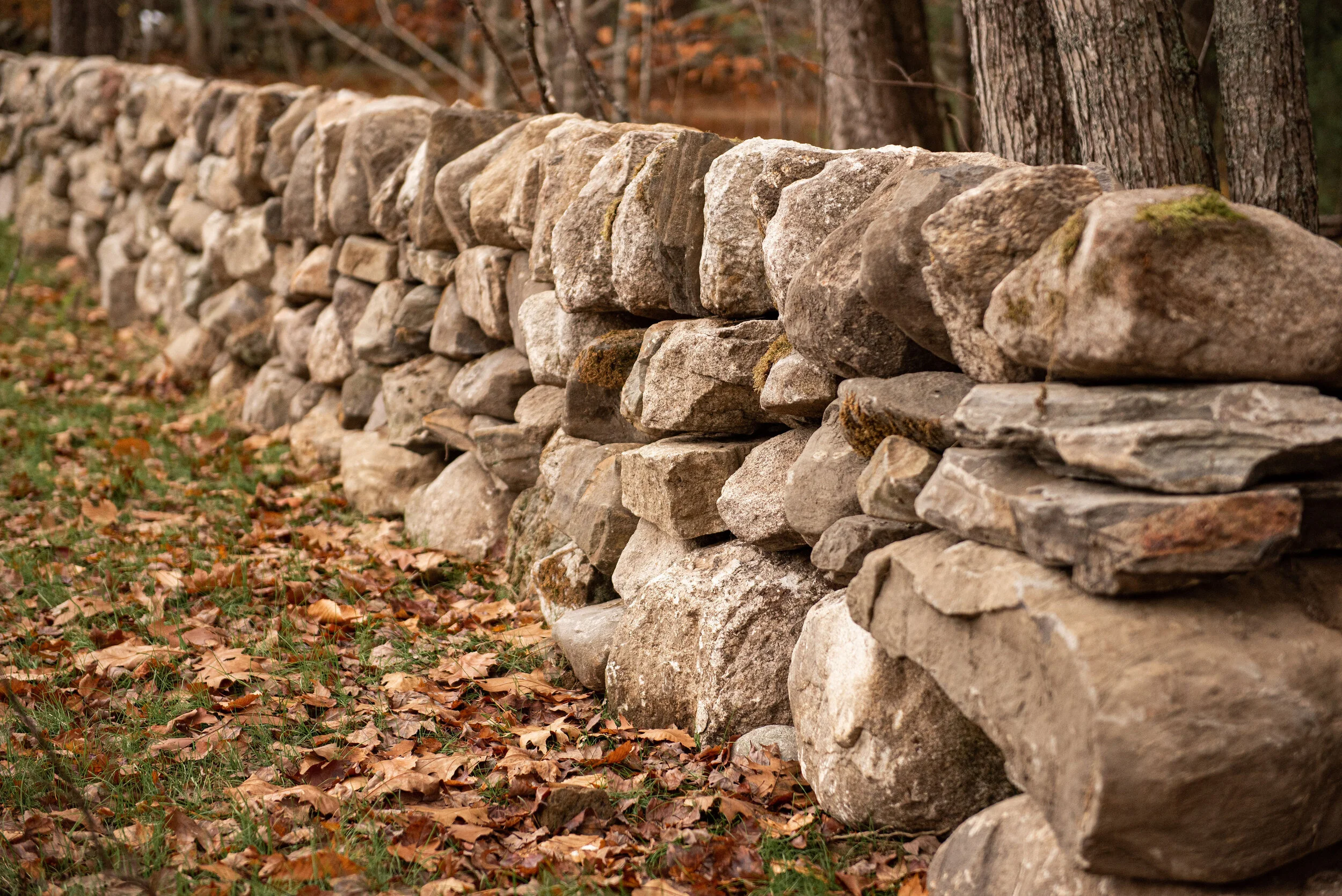 Stone Walls — Hermit Woods Trail Builders