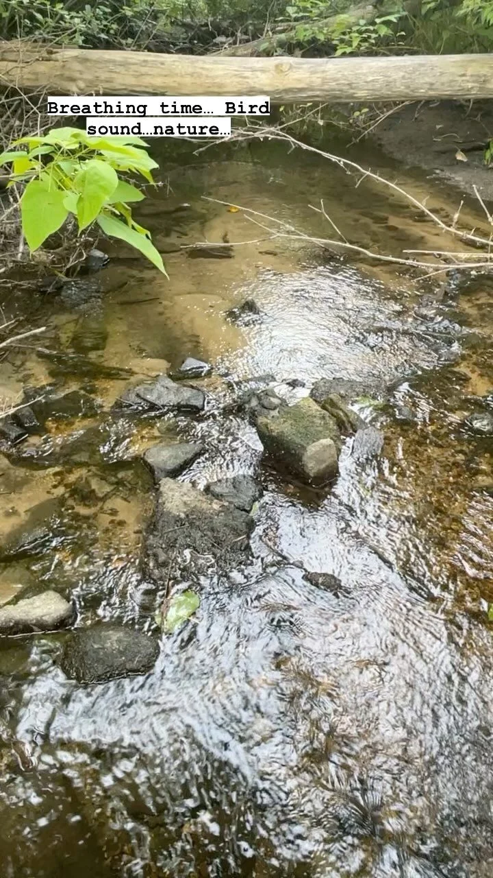 What is Osteopathy? — Alexandra Bohlinger Pilates & Osteotherapy