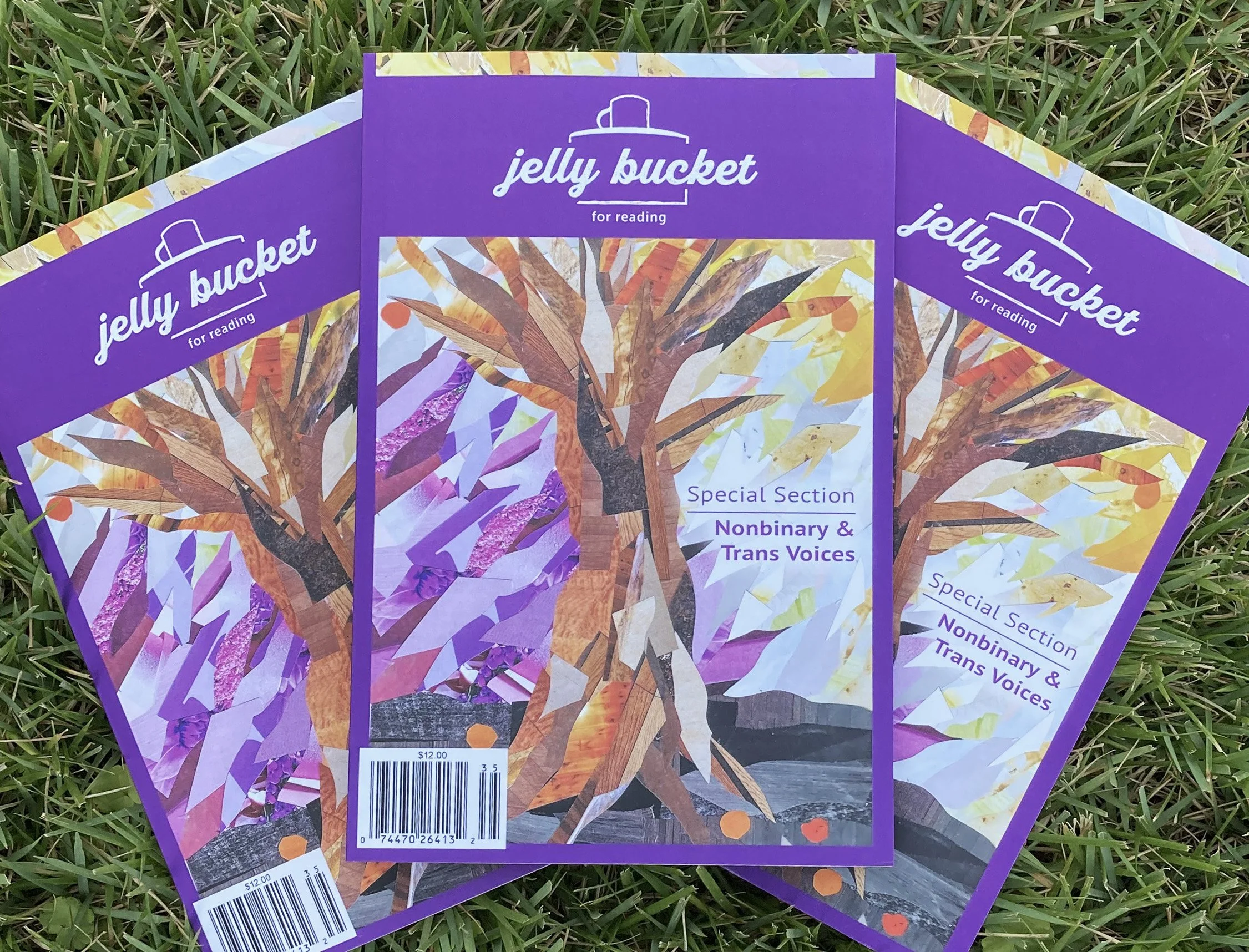 Issue #13 is out in the world! — Jelly Bucket