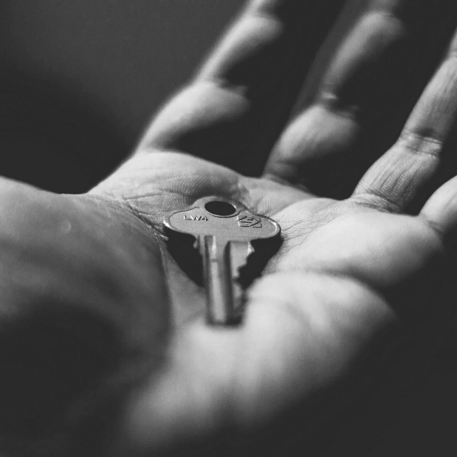 TransLife Care — Chicago House