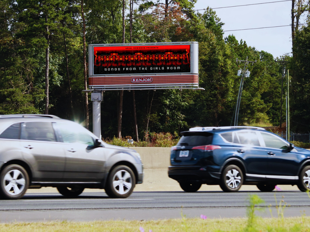 Songs From The Girls Room Book — Arial Robinson.