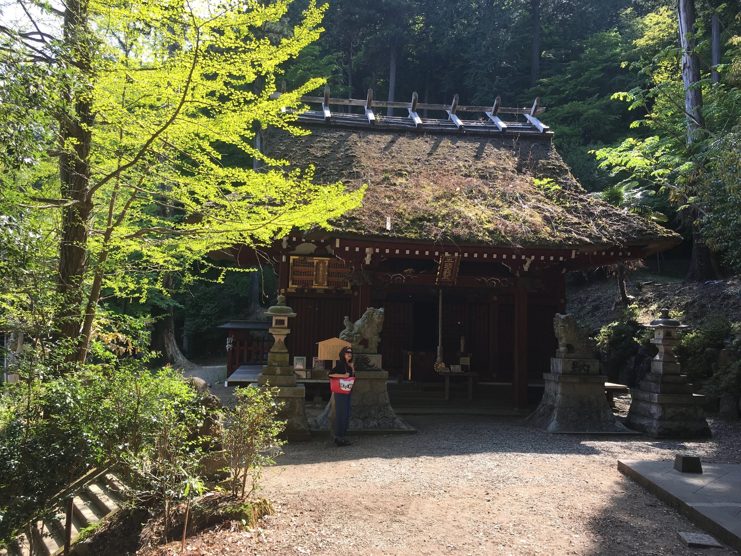 Tokyo Countryside Temple Nature Tours