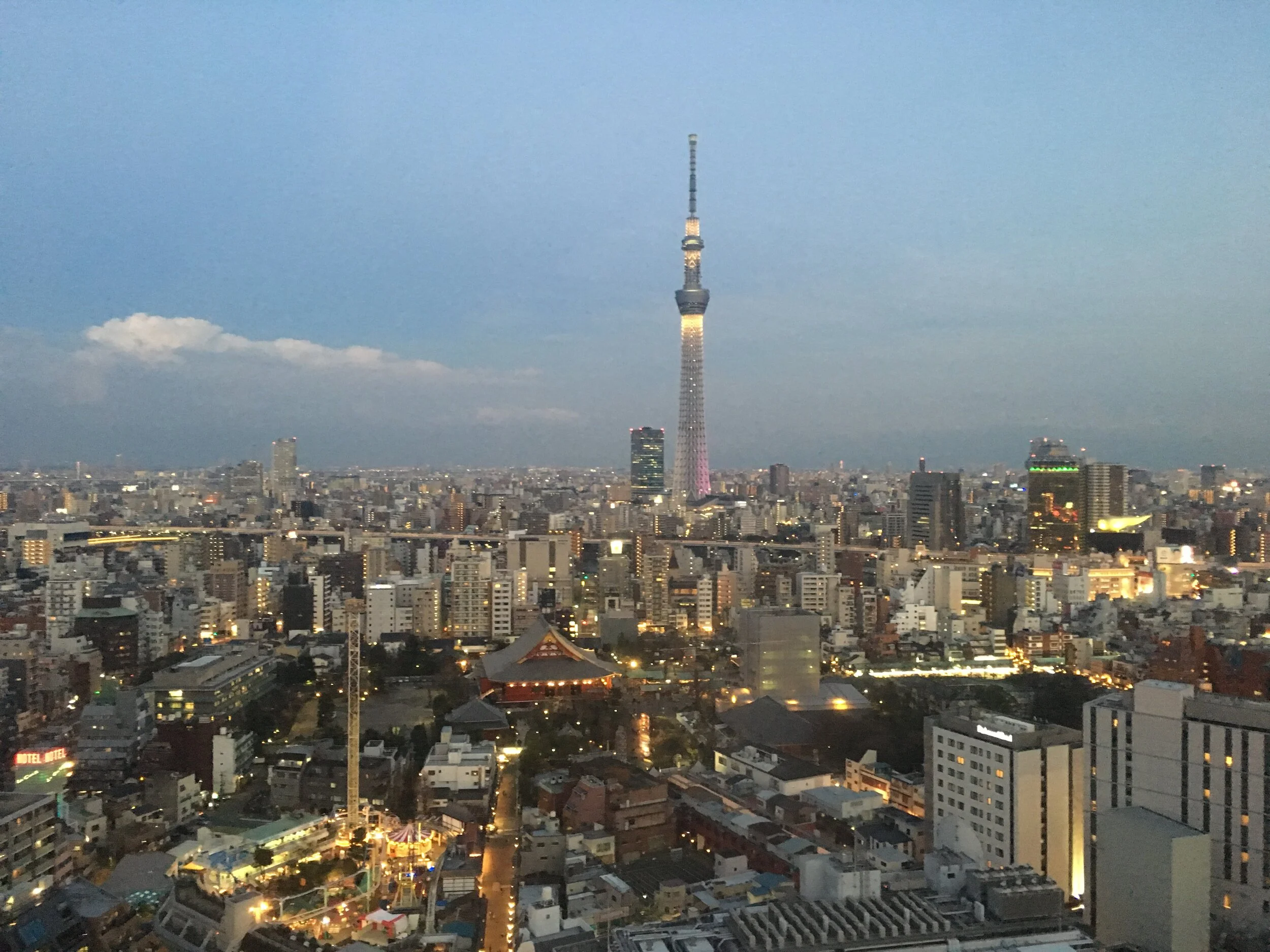 Tokyo Countryside Temple Nature Tours