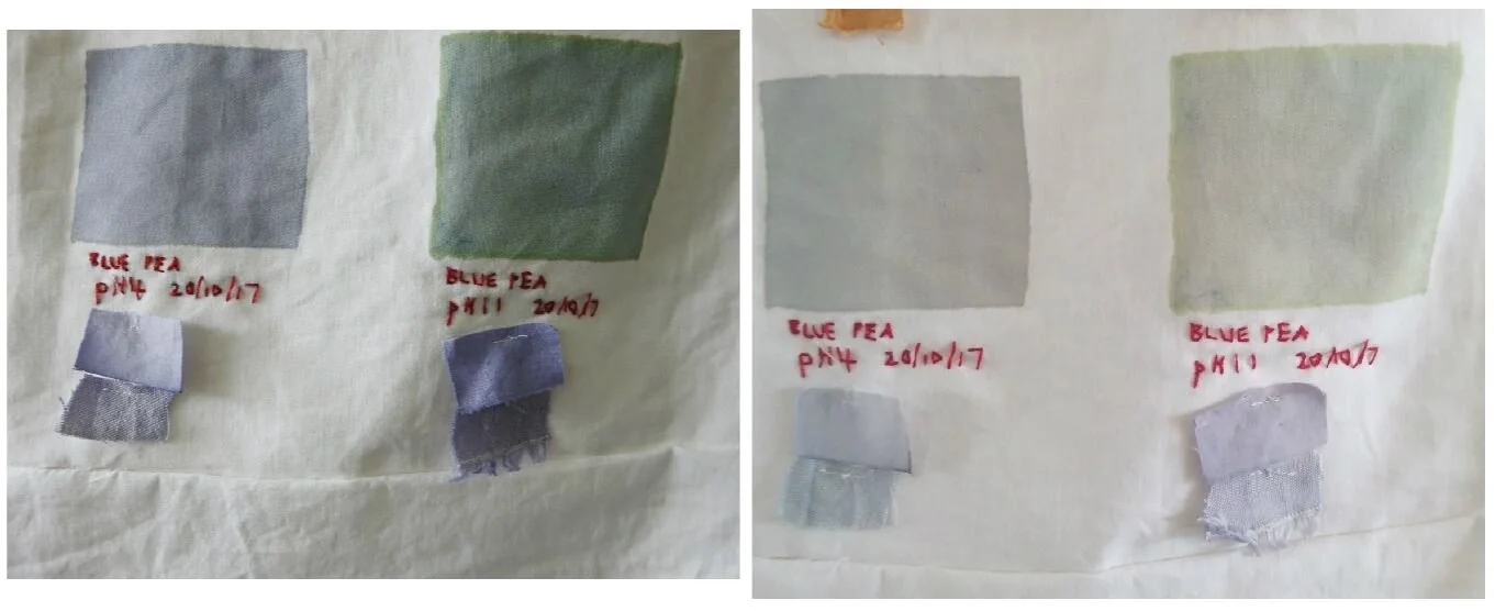 Natural Dyes - Colour Fastness — Agy Textile Artist