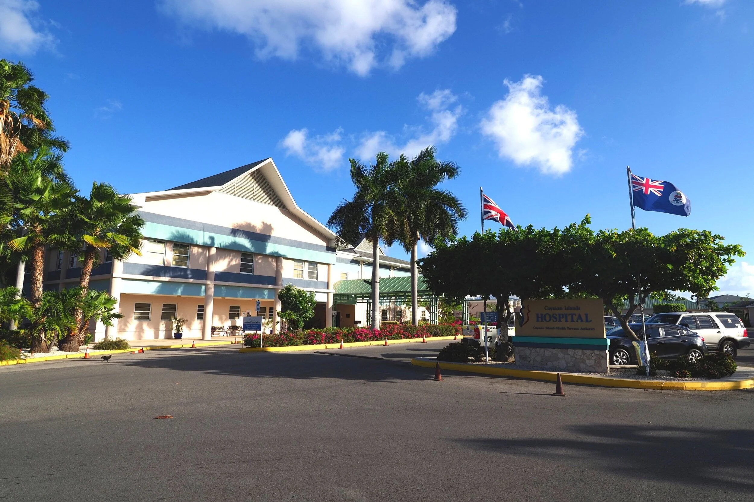 McAlpine Ltd. Cayman