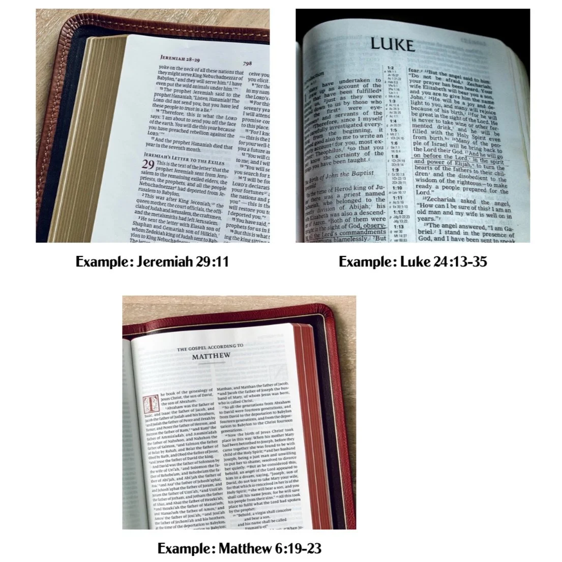 How to Study the Bible — The Chara Project