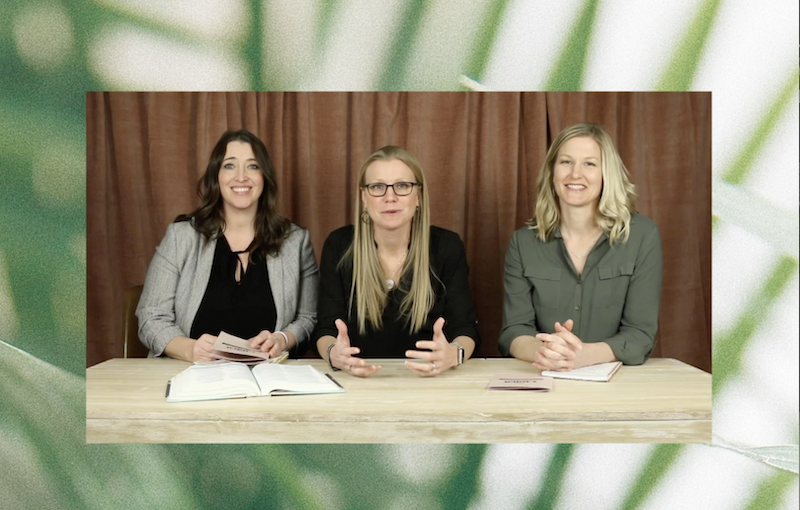 Intro to The Chara Project: Chara is Joy — The Chara Project