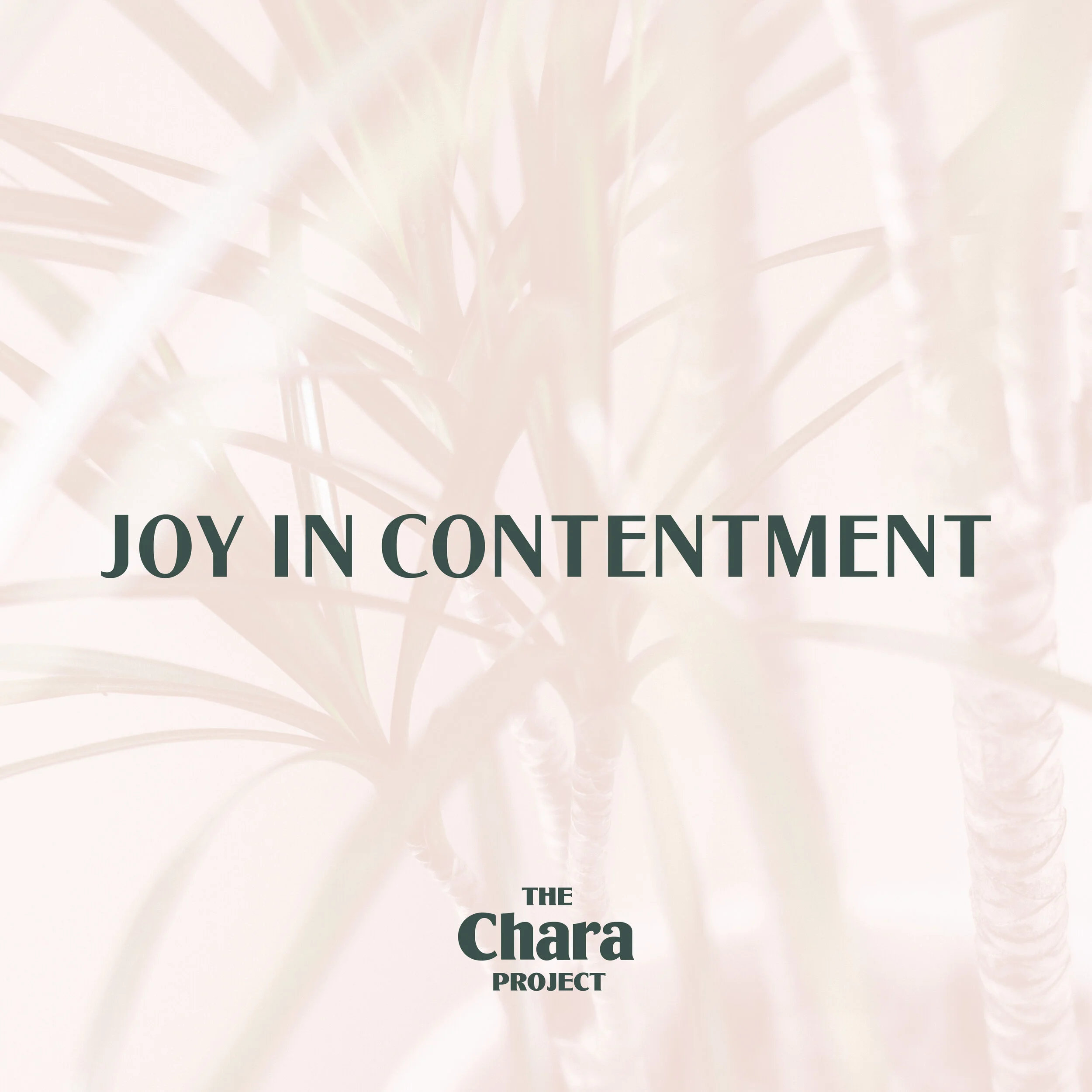 Finding Joy Reading Plan — The Chara Project