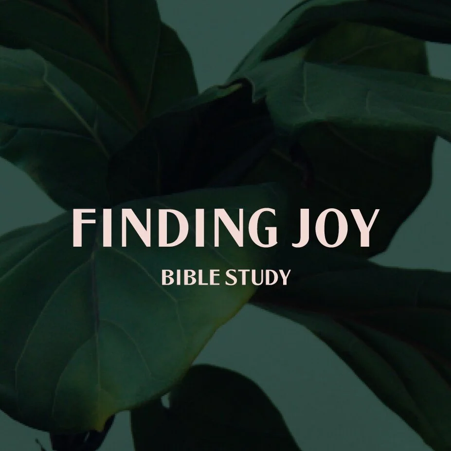 Finding Joy Bible Study — The Chara Project