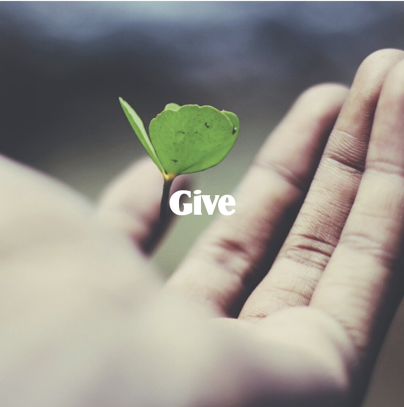 Shop — The Chara Project