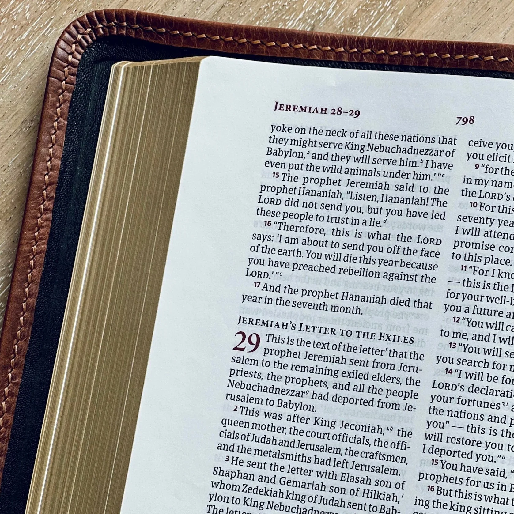 Chara in Action — The Chara Project