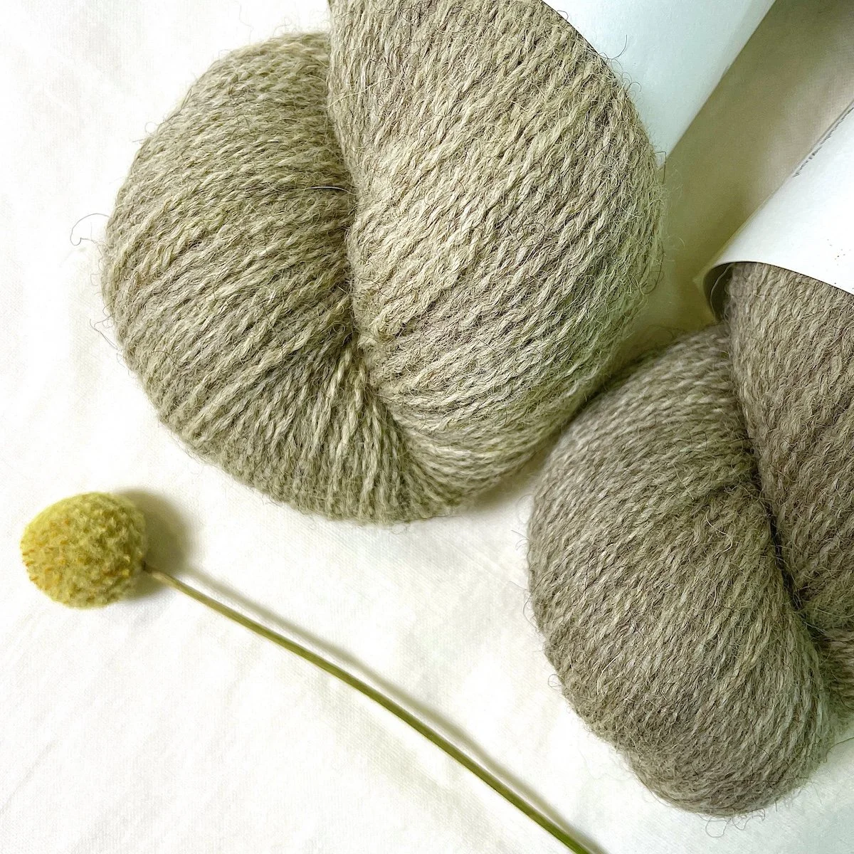 Shop — Nellie and Eve