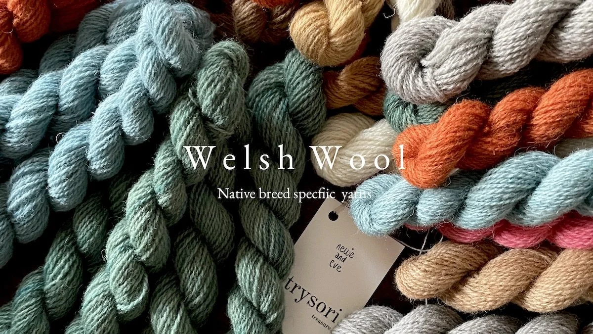 Plant Dyed Yarn and Wool Workshops