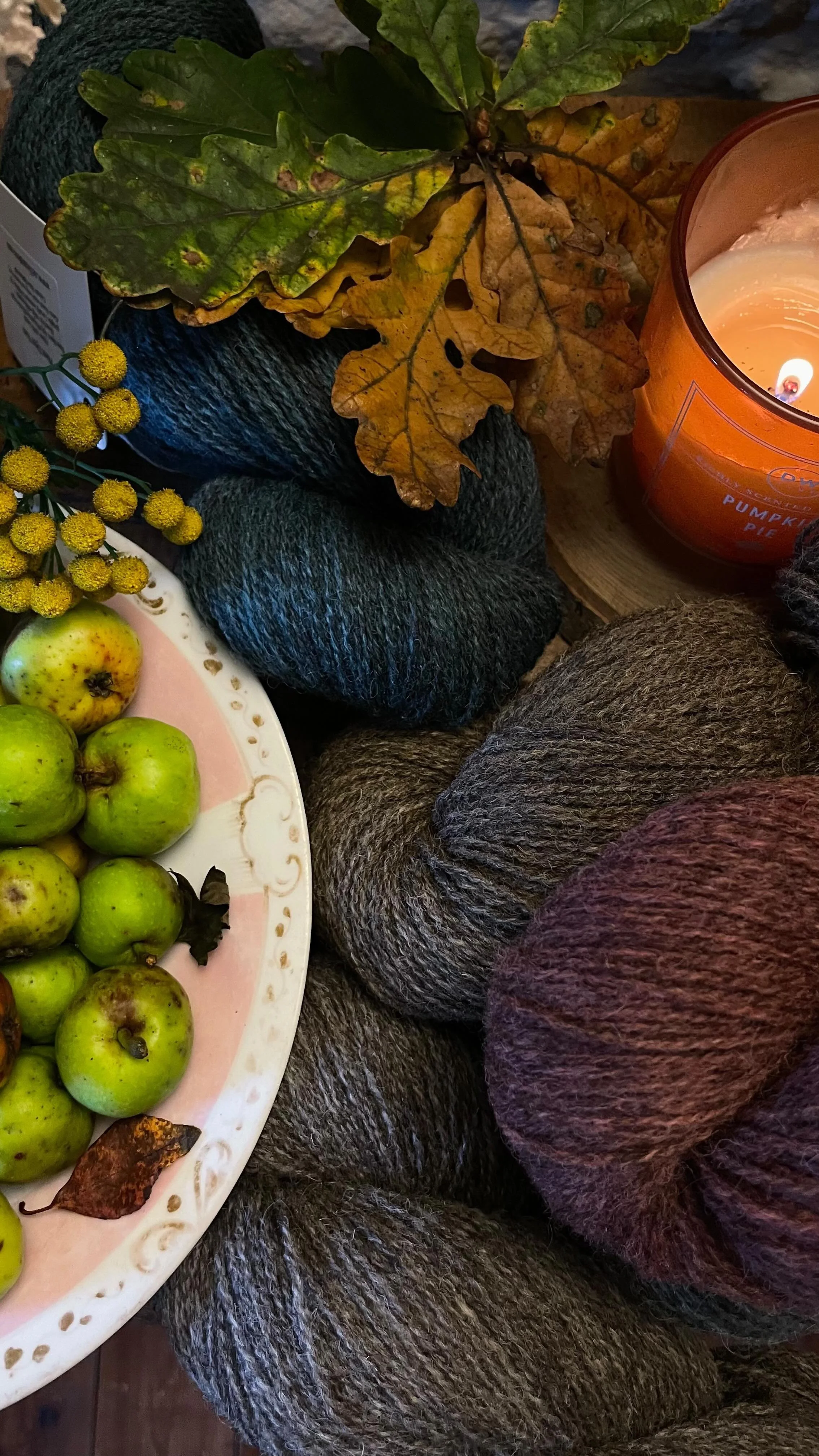 Plant Dyed Yarn and Wool Workshops