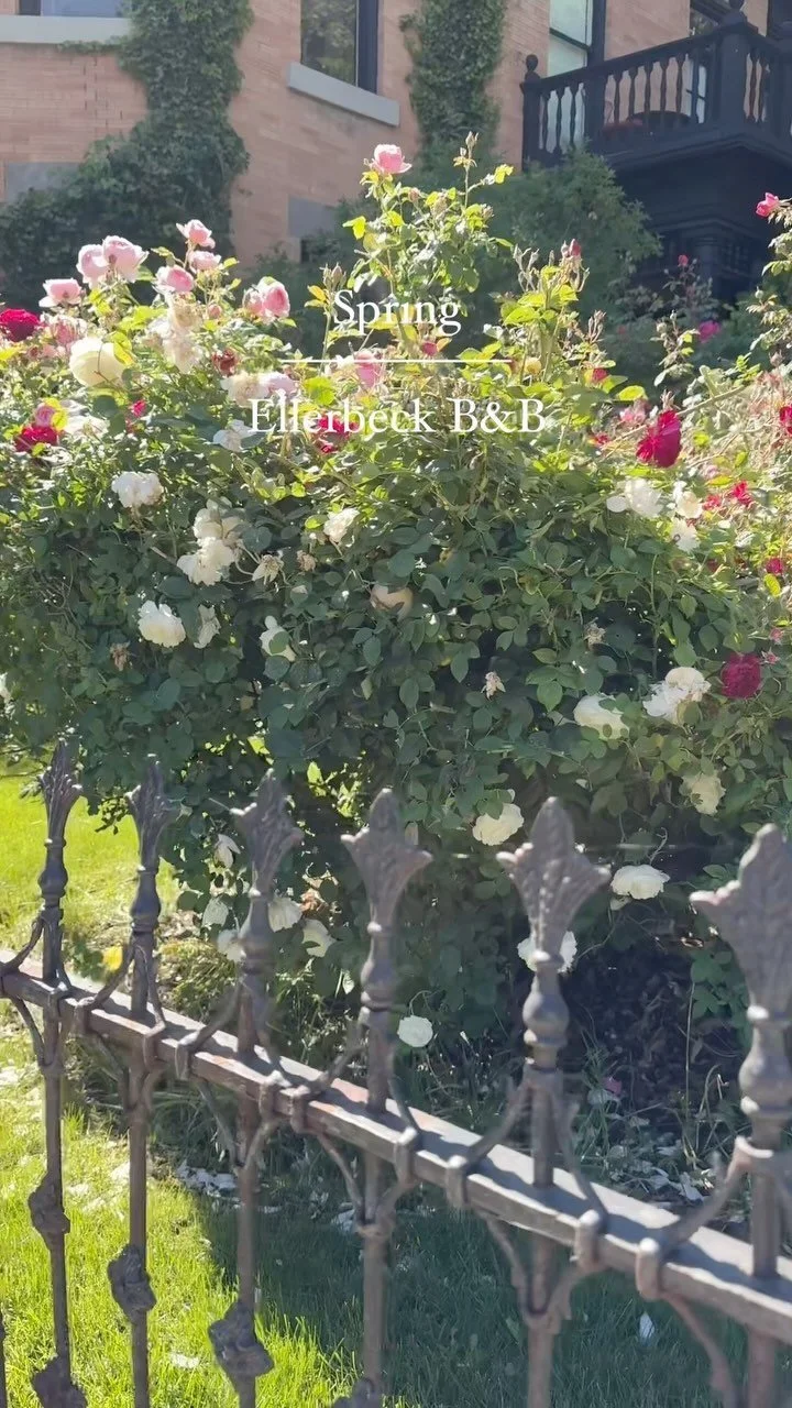 Ellerbeck Bed & Breakfast