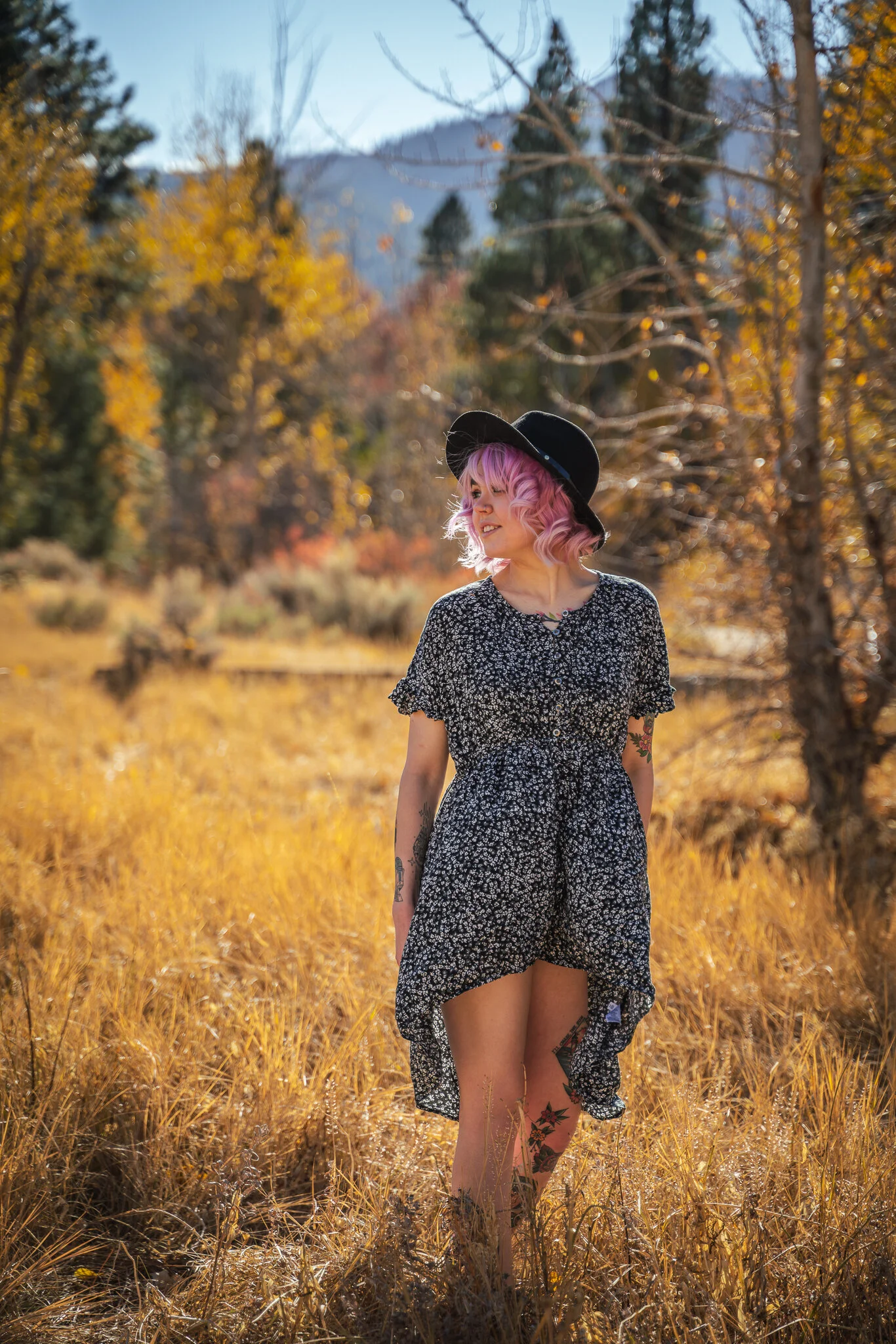 Anthony James Photography