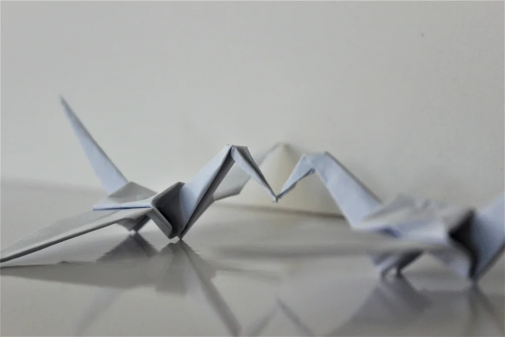 Consultation et Formations — origami