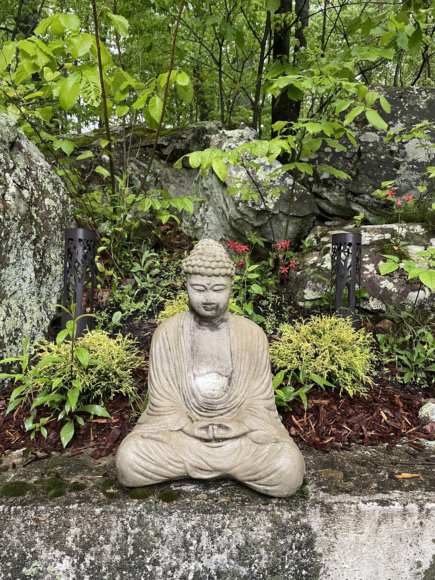 Home — American Zen Association