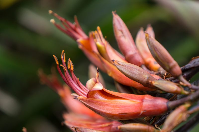 TIM FEATHER LANDSCAPE ARCHITECT