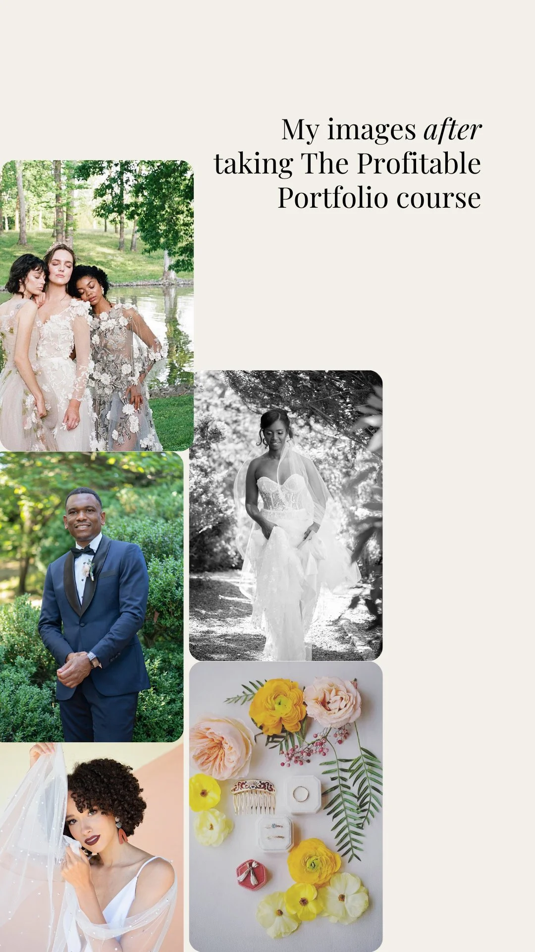 The Profitable Portfolio by D'Arcy Benincosa, a no brainer investment ...